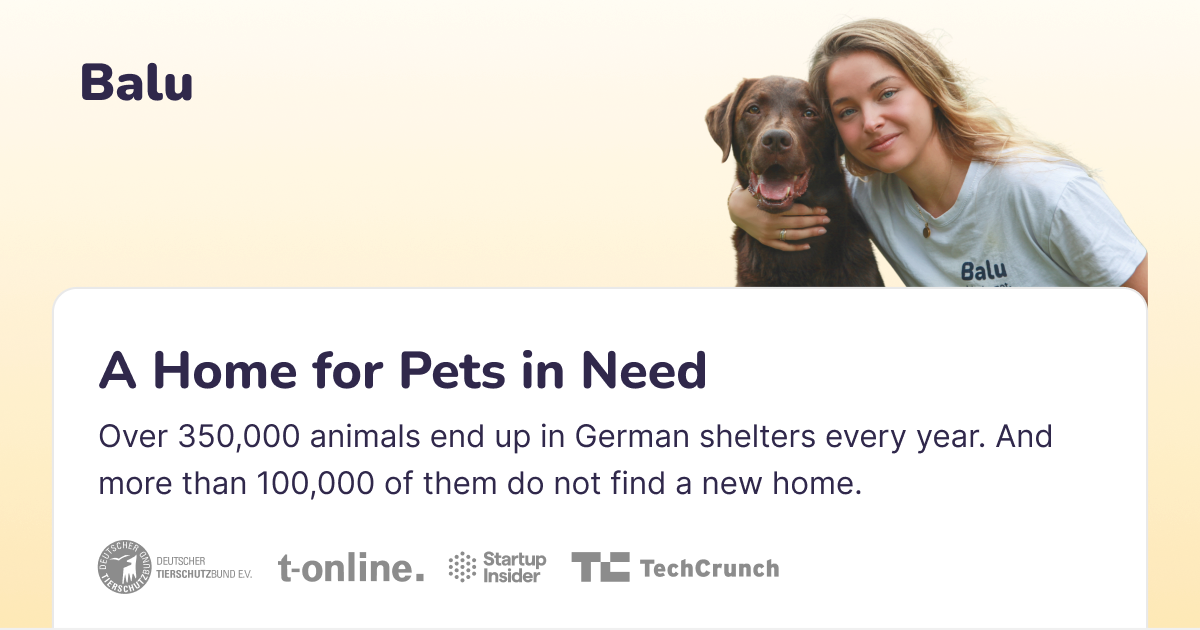 Dogs Looking for Home | Adopt Dogs & Cats Online - 350+ German Animal Shelters - Balu